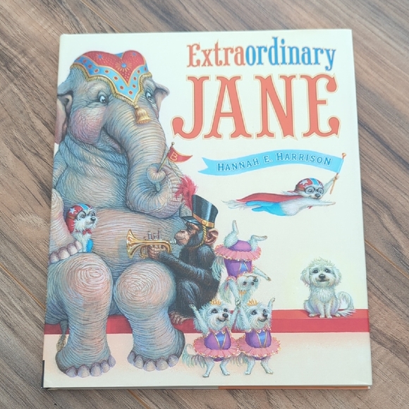Toys | Extraordinary Jane Childrens Book | Poshmark